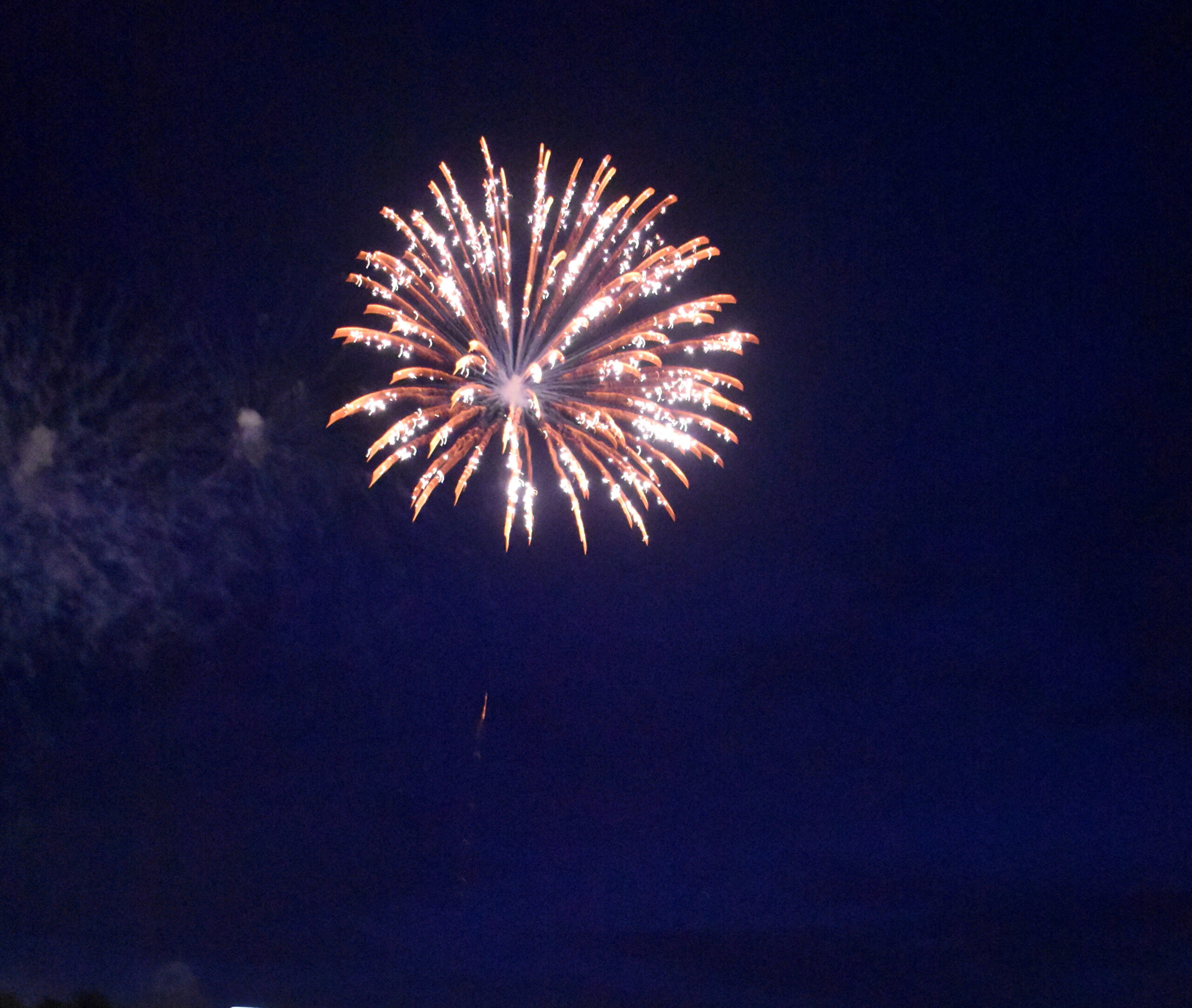 Fireworks that fly or explode are illegal | News, Sports, Jobs - The ...